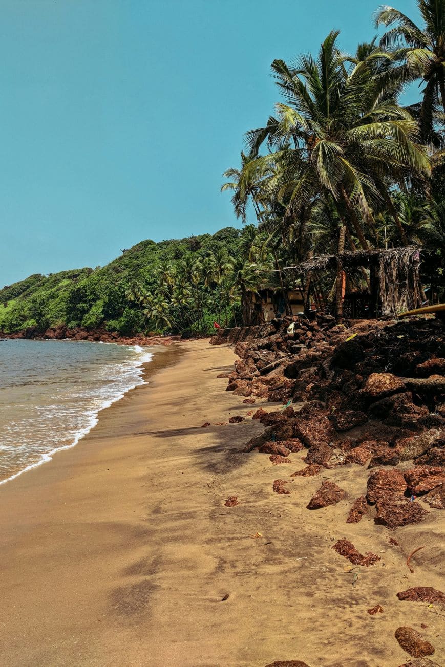 Resort in South Goa Near Butterfly Beach | Blu Butterfly Resort